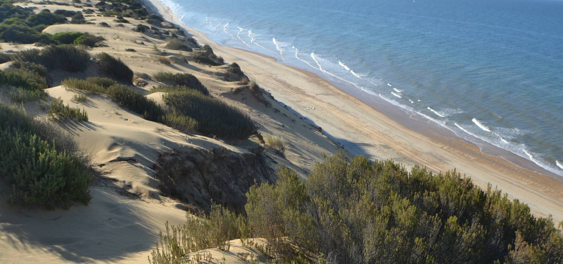 Dunas de Doñana en Playa Matalascañas, Web oficial